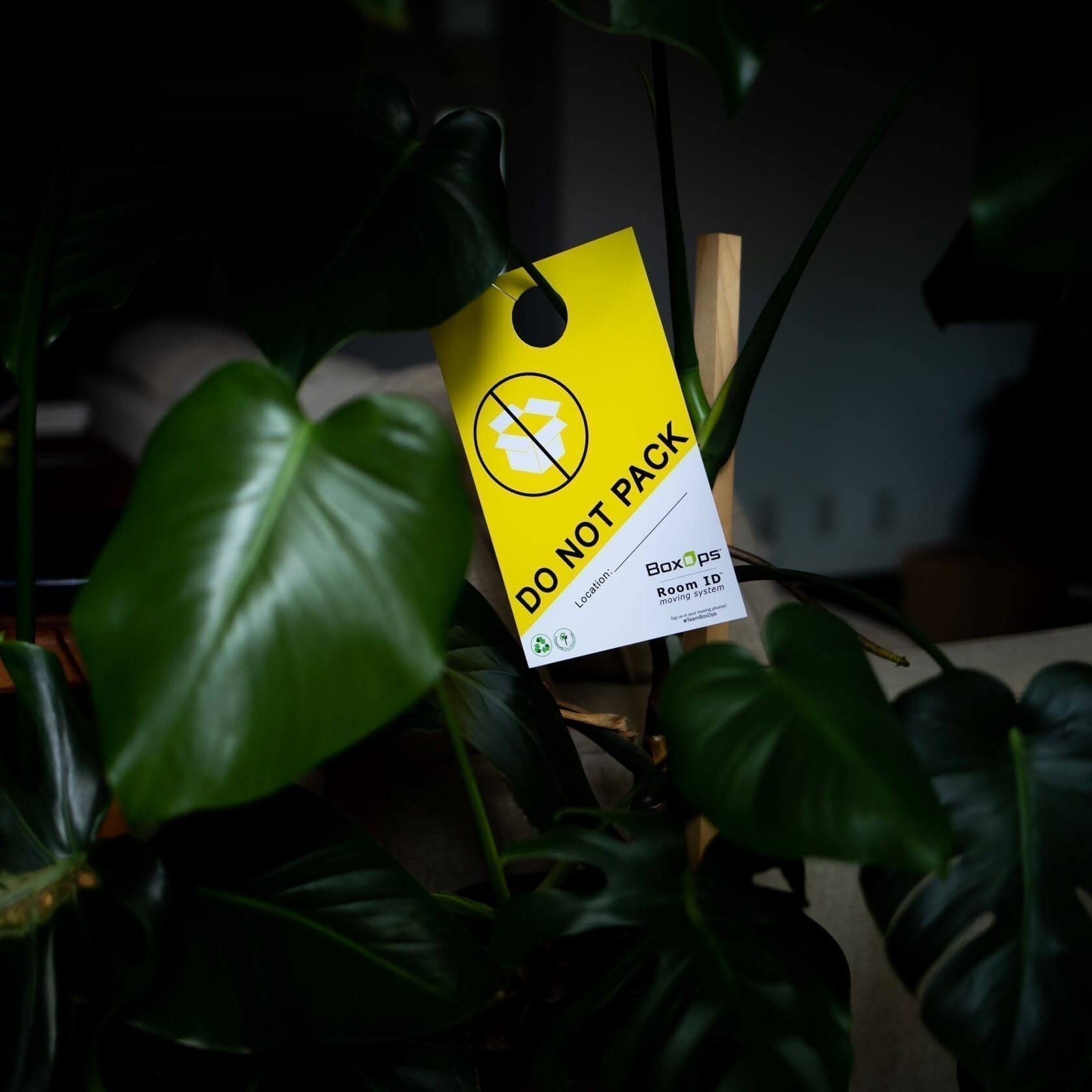 DO NOT PACK Moving Day Kit | Keep Valuables Safe During Your Move – BoxOps